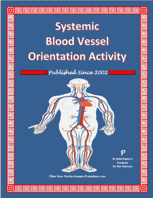 Systemic Blood Vessel Orientation Activity for the Circulatory System ...