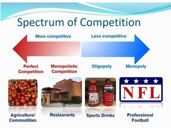 Business Organizations Webquest Economics Microeconomics Google Slides ...