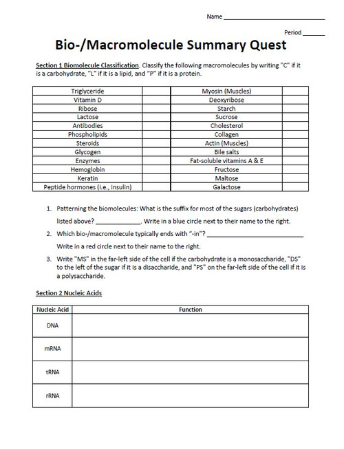 Macromolecule F-I-T-B Review Activity (Proteins, Lipids, Carbs, and ...