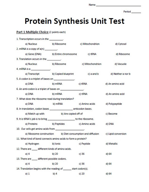 Blood Unit Study Guide - Amped Up Learning