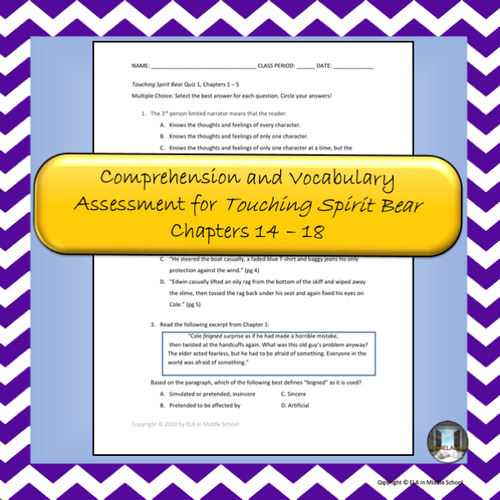 Touching Spirit Bear Assessment Bundle - Amped Up Learning