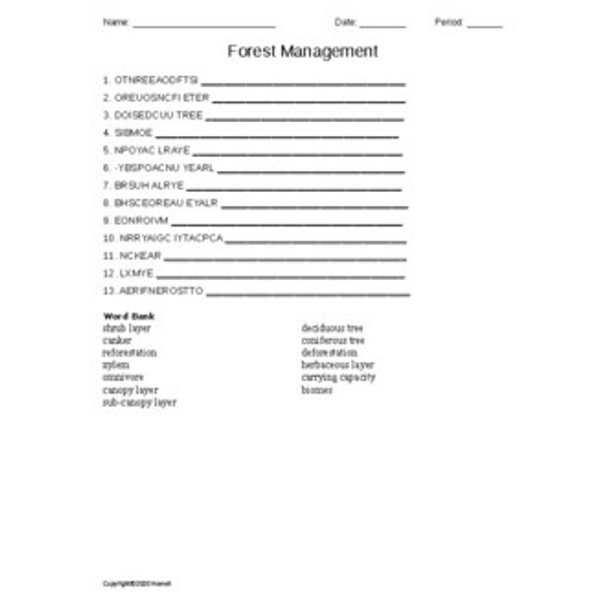 Forest Management Word Scramble Amped Up Learning