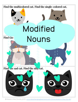Modified Nouns - Expressive & Receptive Language, Speech Therapy