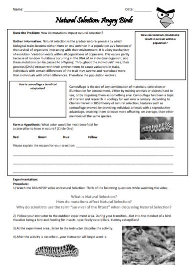 Natural Selection: Angry Birds - Amped Up Learning