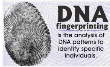 A Case in Forensics: DNA Fingerprint Lab - Amped Up Learning