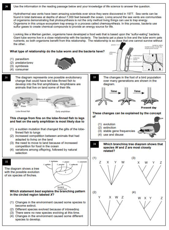 Ecology Test - Amped Up Learning