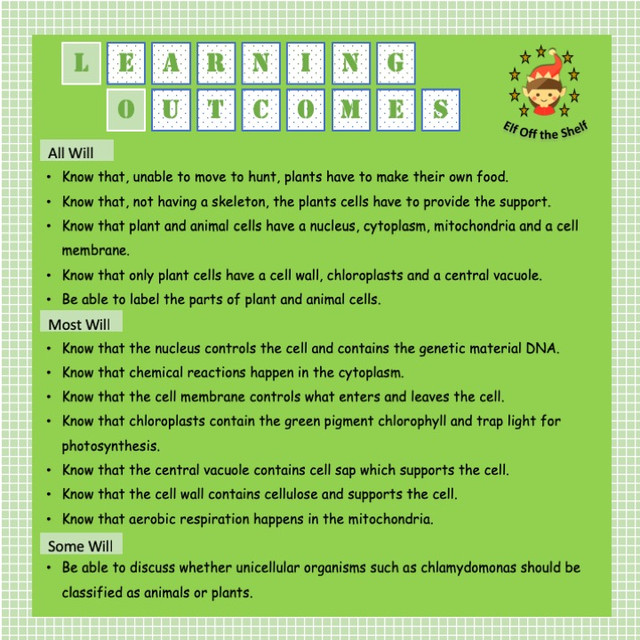 Plant and Animal Cells - Structure, Differences and Specialisation ...
