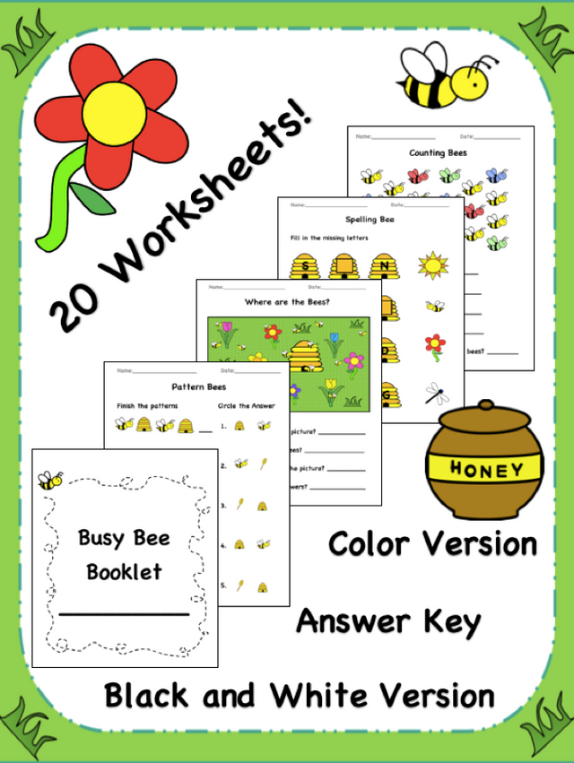 Busy Bee Booklet