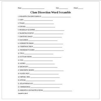 Dissection word scramble Collection - Amped Up Learning