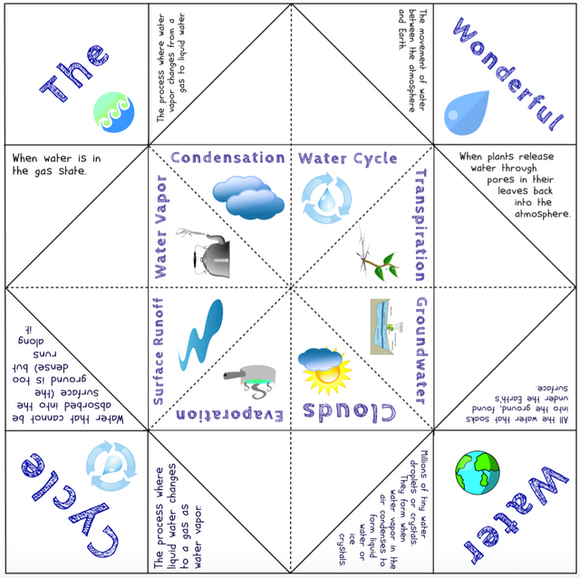 The Water Cycle Activity
