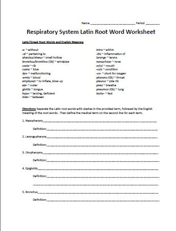 Respiratory System Latin Root Word Worksheet and Crossword Puzzle Set ...