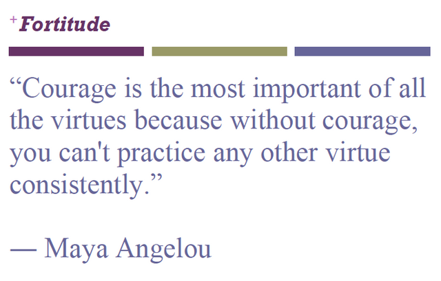 Fortitude Posters (7 pages) - Amped Up Learning