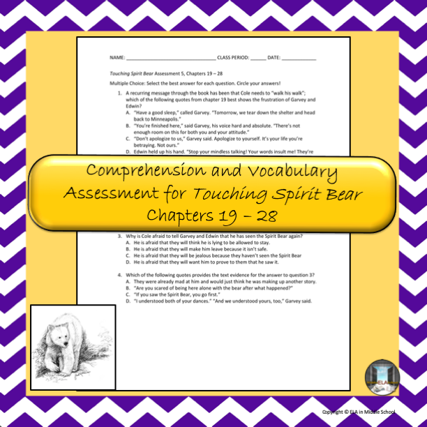 Touching Spirit Bear Assessment 5 Chapters 19-28 - Amped Up Learning