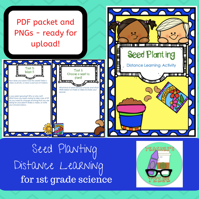 Distance Learning - Plant a Seed! - Amped Up Learning
