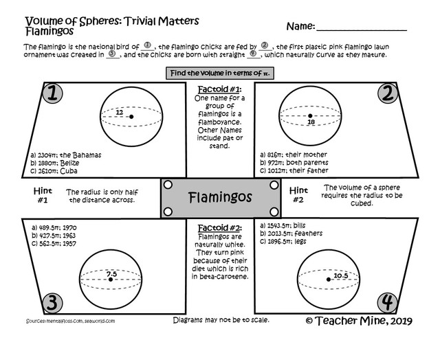 Volume of Spheres - Flamingos - Trivial Matters Activity