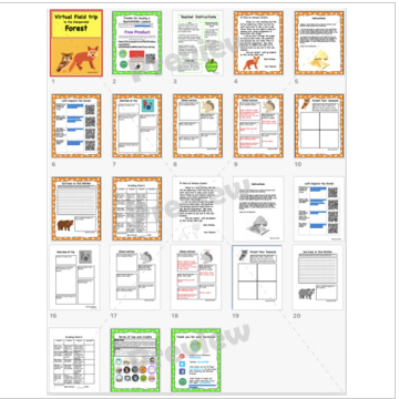 Virtual Field Trip to the Forest