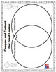 Presidents' Day Activity Bundle - Amped Up Learning