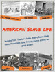 American Slave Life mini-unit, including text