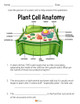 Plant Cells Organelle Activity | Google Slides™ for Distance Learning ...