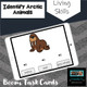 Identifying Arctic Animals Boom Cards