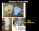 Thomas Edison Light Bulb Shape Book Informational Text & Lapbook activity