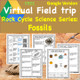 Fossils- Virtual Field Trip- Digital Version