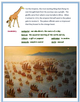 Ming China - Zheng He's Sea Voyages + Assessments - Amped Up Learning
