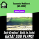 Tsunamis WebQuest (Great sub plans or distance learning!)