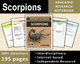 Learn all about Scorpions