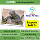 FREE Lizards Informational Text Reading Passage and Activities