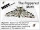 The Peppered Moth - Natural Selection - Amped Up Learning
