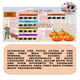 Autumn Harvest PPT Vocabulary Game | FALL PUMPKIN-THEMED - Amped Up ...