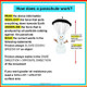 Winter holiday parachuting STEM project MS ETS1-2 MS ETS1-4 5-PS2-1