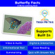 Butterfly Facts Informational Text Reading Passage and Activities