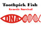 Natural Selection: Toothpick Fish - Amped Up Learning