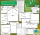 World War 1: Lesson Plans, 10 Copiable Resources and Vocabulary Cards