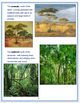 Medieval West Africa - An Introduction + Assessment - Amped Up Learning