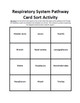 Respiratory System Pathway Card Sort Activity