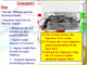 World War II-War in the Pacific - Amped Up Learning