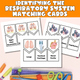 Identifying the Respiratory System Matching Cards