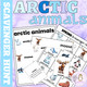 Arctic Continent Scavenger Hunt Arctic Animals Word Wall Definition ...