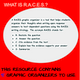 R.A.C.E.S READING RESPONSE TEMPLATES (5): CLASSWORK OR HOMEWORK