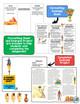 Ancient Egypt Brochure Project - Amped Up Learning