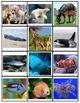 Animal Groups Classification Mega Pack - Amped Up Learning