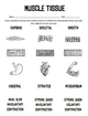 Muscle Tissue Type Activity Worksheet- Cardiac, Skeletal and Smooth ...