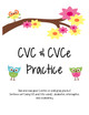 CVC CVCe Practice - Amped Up Learning