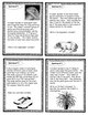 Scientific Method: Thinking Like a Scientist Task Cards - Amped Up Learning