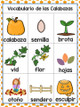 Pumpkins Thematic Unit & Lesson Plans Pre-K, Spanish English Bilingual ...