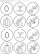 Pumpkins Thematic Unit & Lesson Plans Pre-K, Spanish English Bilingual ...