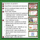 Christmas Team Quest - Science Quiz for Middle school - Amped Up Learning